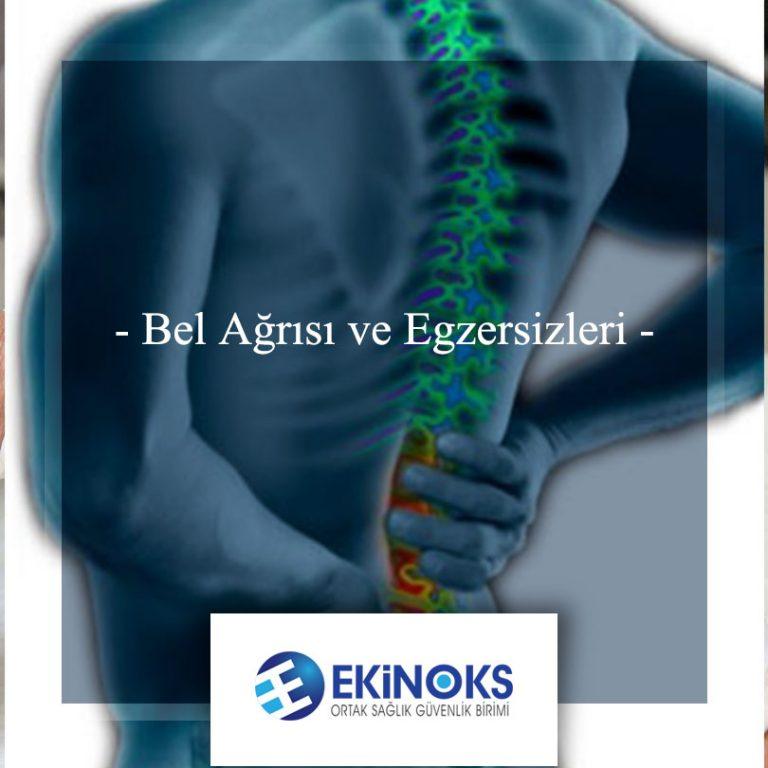 Bel Ağrısı Sırasında Nasıl Egzersiz Yapılır? - Ekinoks Osgb - istanbul ...